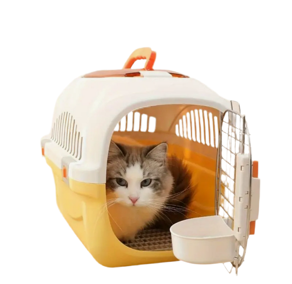 Top-Load Ventilated Cat Carrier (50 cm) | The Witness Protection Box ...
